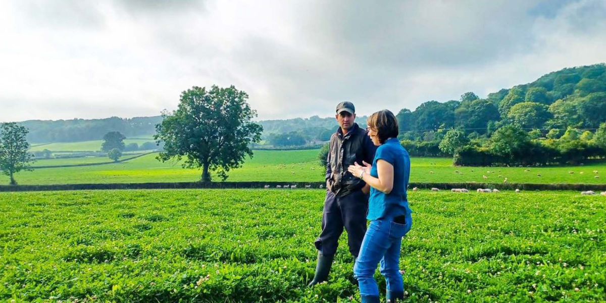 Partnerships | University of Greenwich