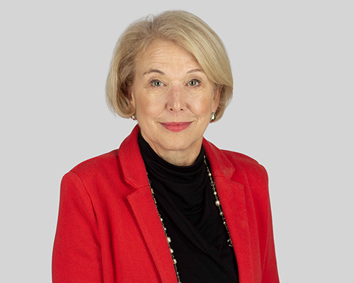 Big Picture Seminar - Ann Francke | Events | University of Greenwich