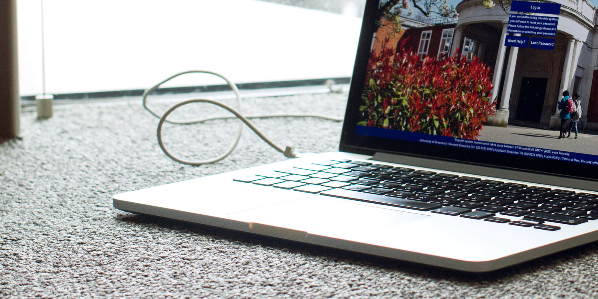 Digital Immigration Status (eVisa) | Visas and Immigration for study in ...